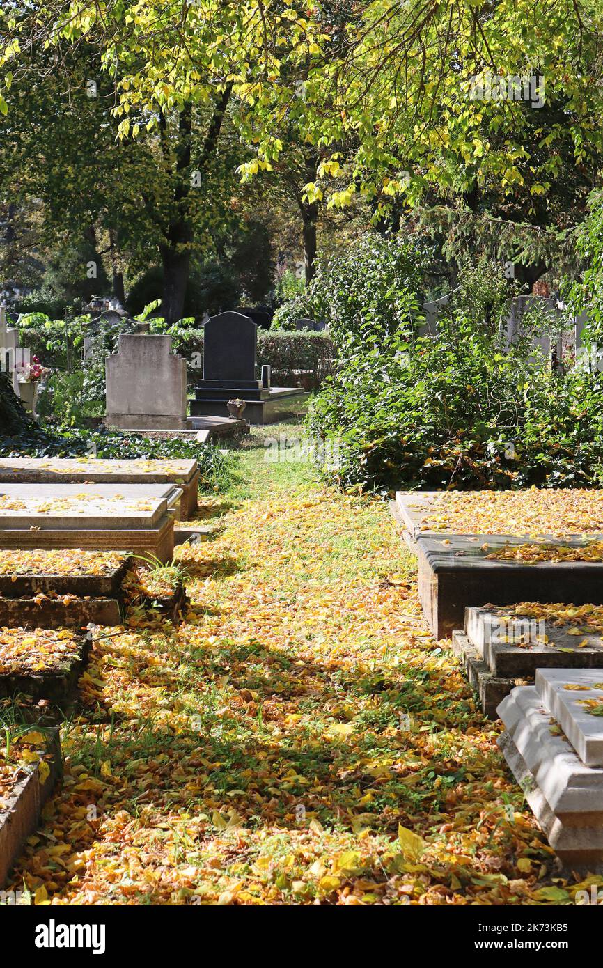 Tombstones in the public cemetery in autumn time Stock Photo - Alamy