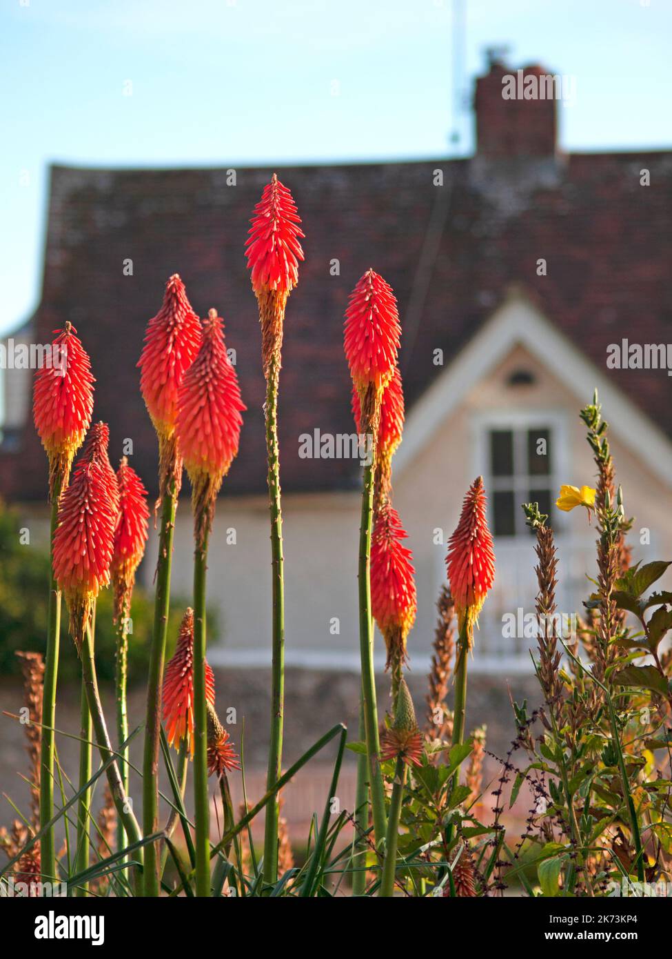 Kipling Gardens in the village of Rottingdean Stock Photo - Alamy