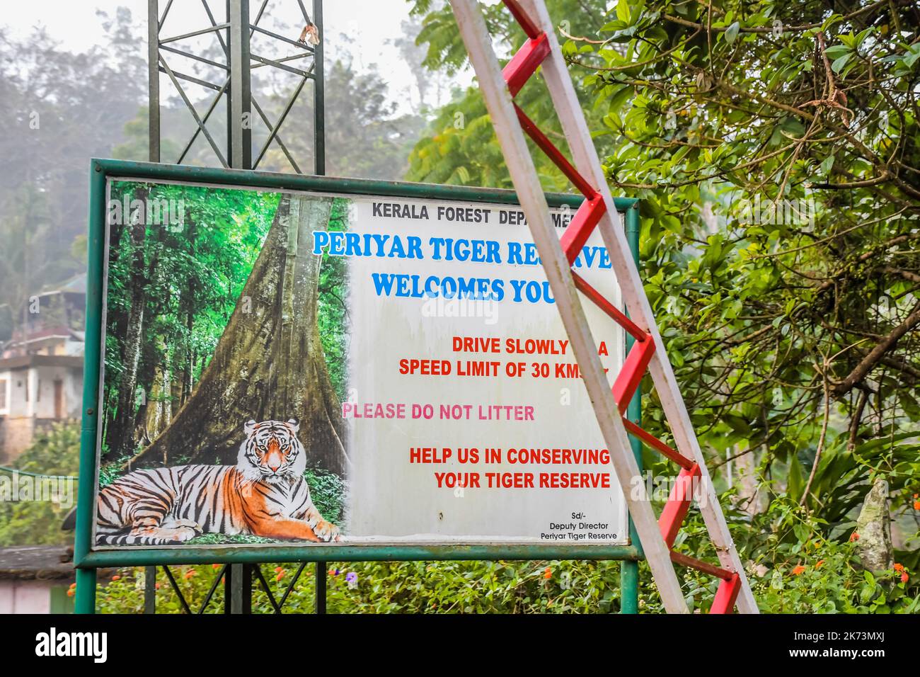 Periyar tiger reserve or national park in Kerala India Stock Photo - Alamy