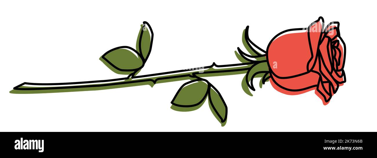 Scribble red rose flower hand drawn with thin line Stock Vector Image ...