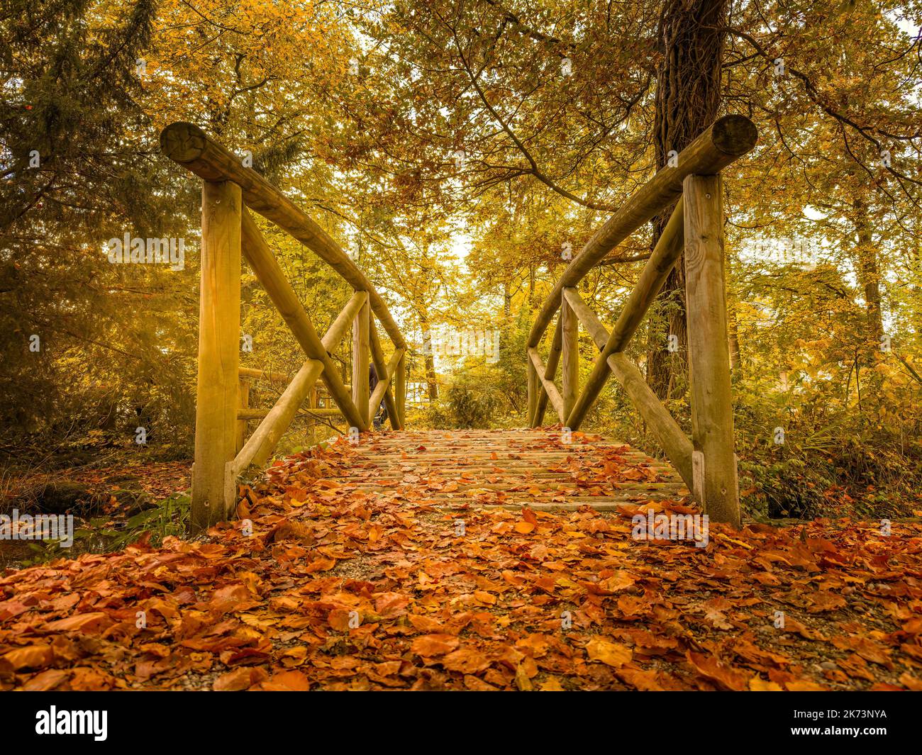Park bridge orange leaf hi-res stock photography and images - Alamy