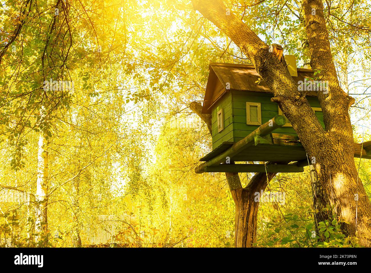 Kids build tree house hi-res stock photography and images - Alamy