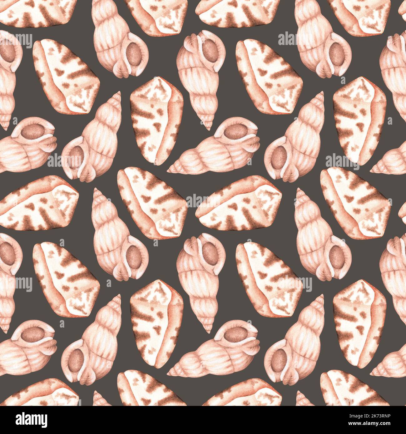 Seashells seamless pattern. Watercolor vintage illustration. Isolated ...