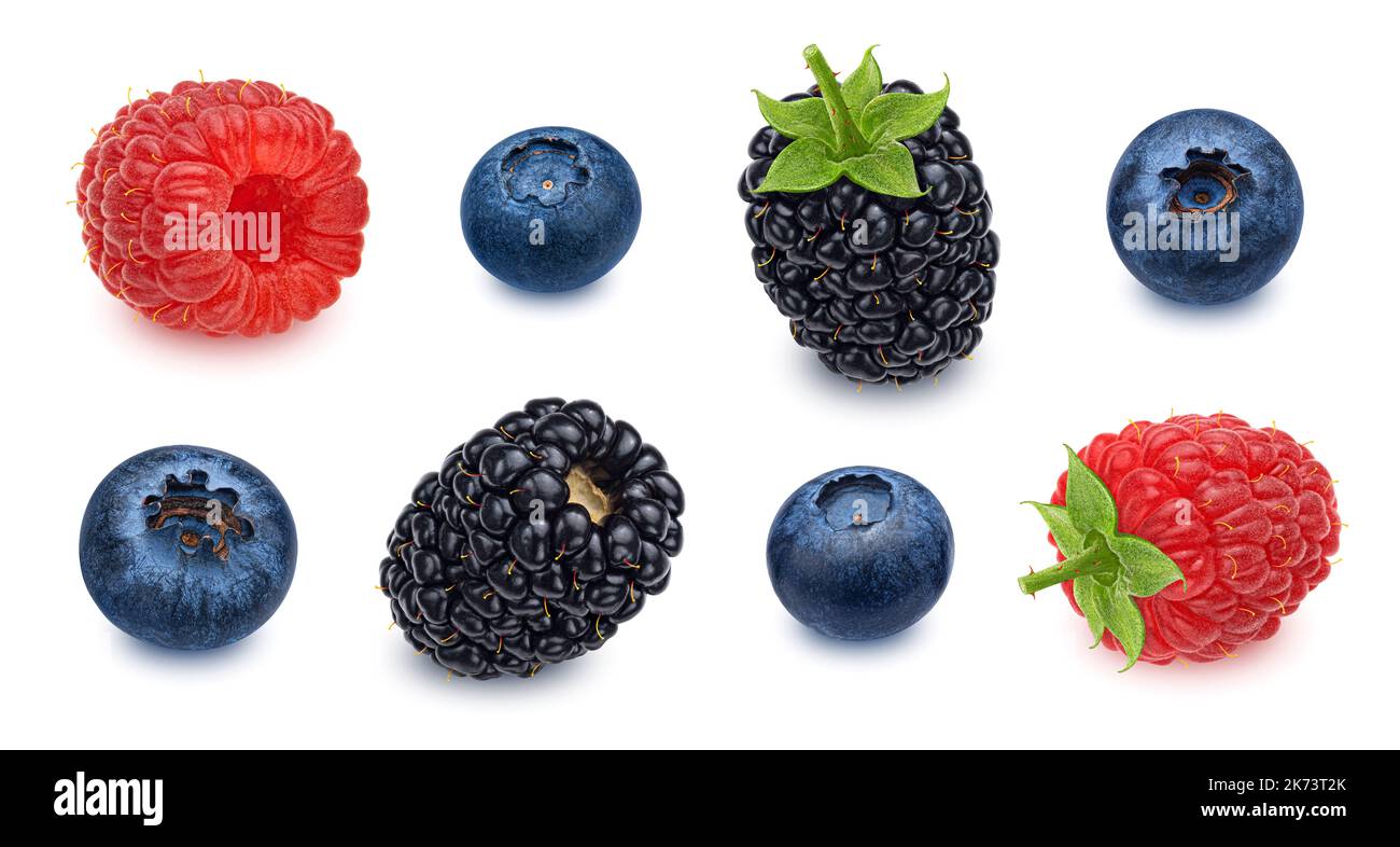 Blueberry, raspberry and blackberry isolated on white background Stock ...