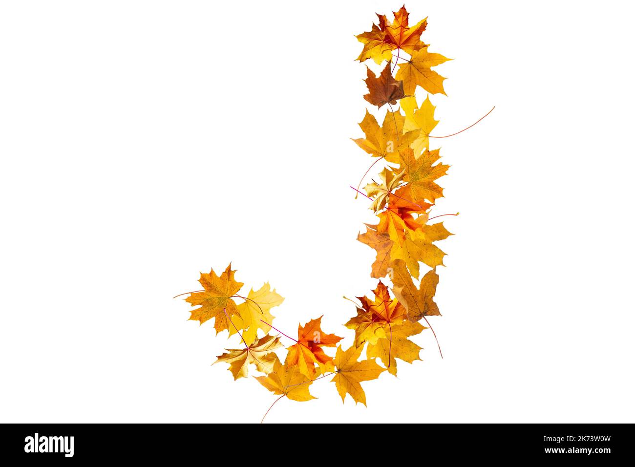 Alphabet letters made with yellow autumn leaves to form the capitals on ...