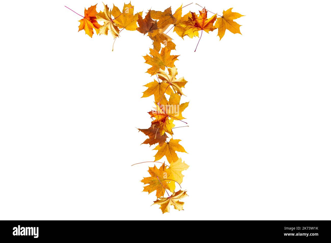 Alphabet letters made with yellow autumn leaves to form the capitals on ...