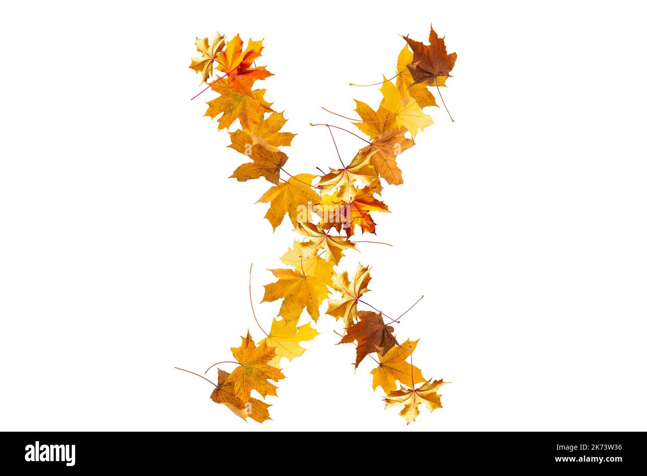 Letter made out leaves hi-res stock photography and images - Alamy