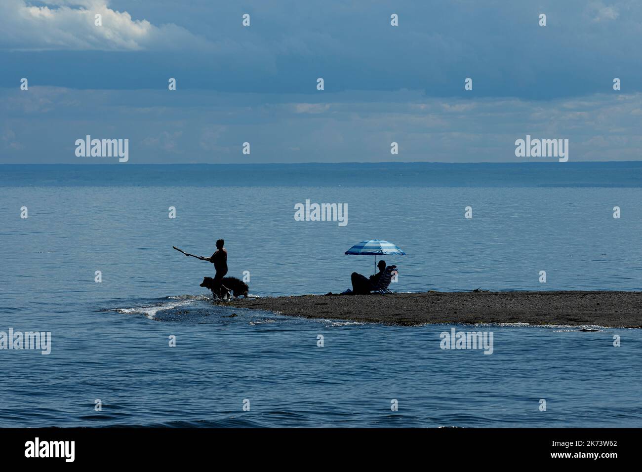 A woman trows a branch into the water for her dog to fetch on Carleton ...