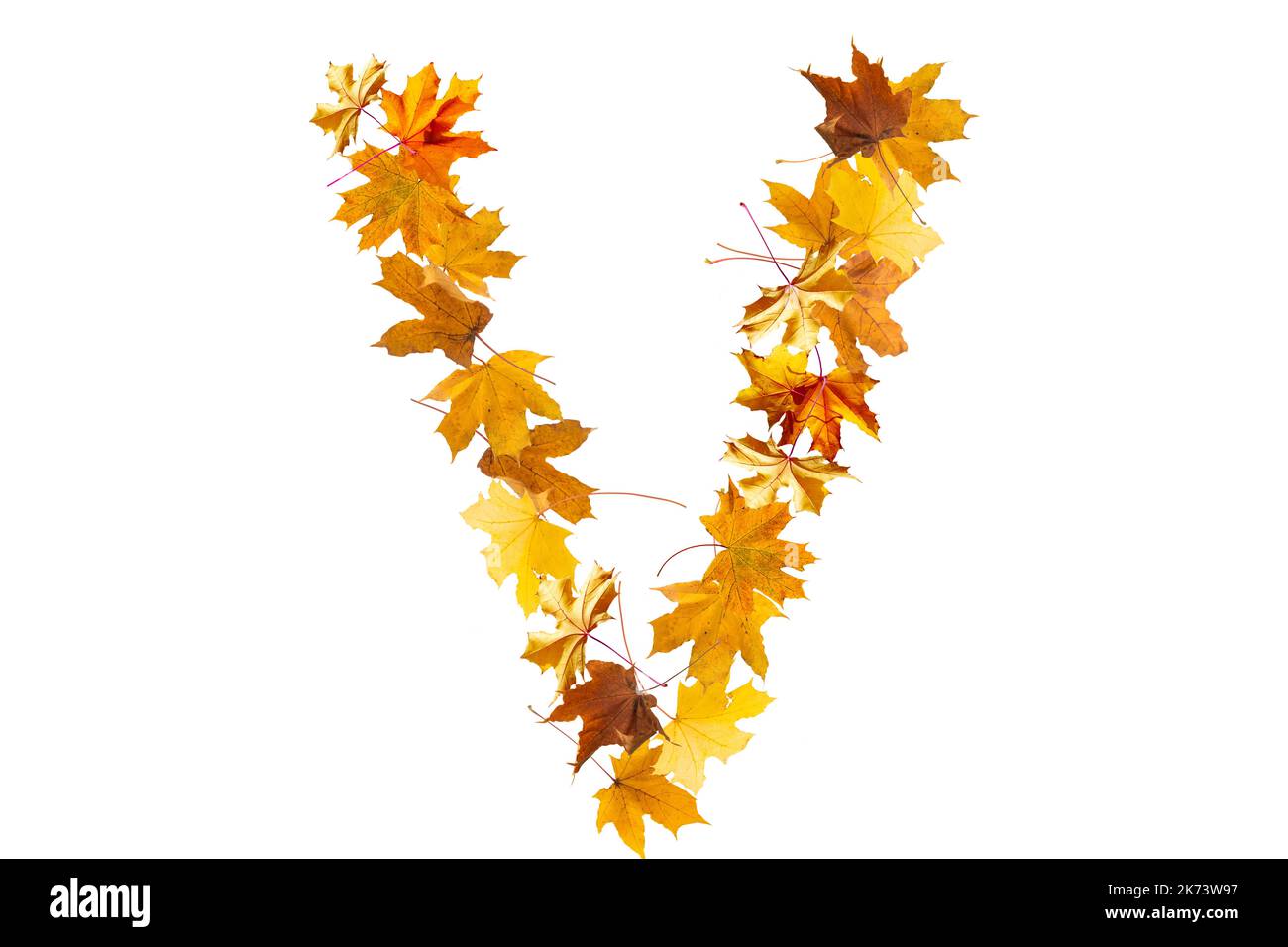 Alphabet letters made with yellow autumn leaves to form the capitals on ...