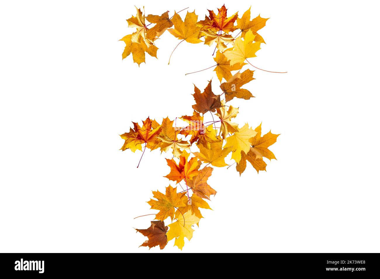 Number 7 of colorful autumn leaves. Cardinal number seven mades of fall ...