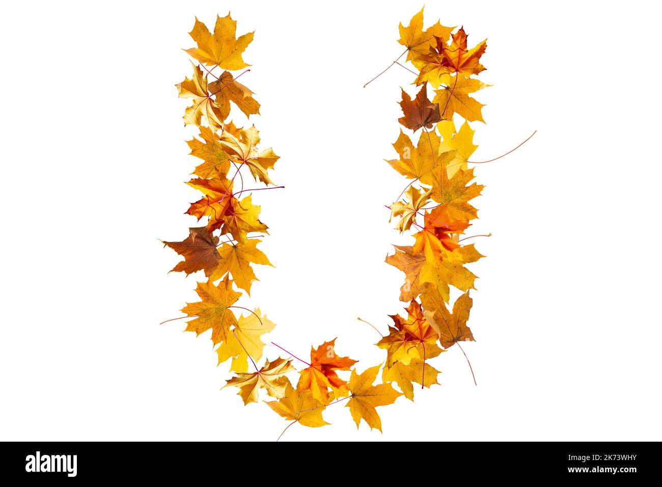 Letter made out leaves hi-res stock photography and images - Alamy
