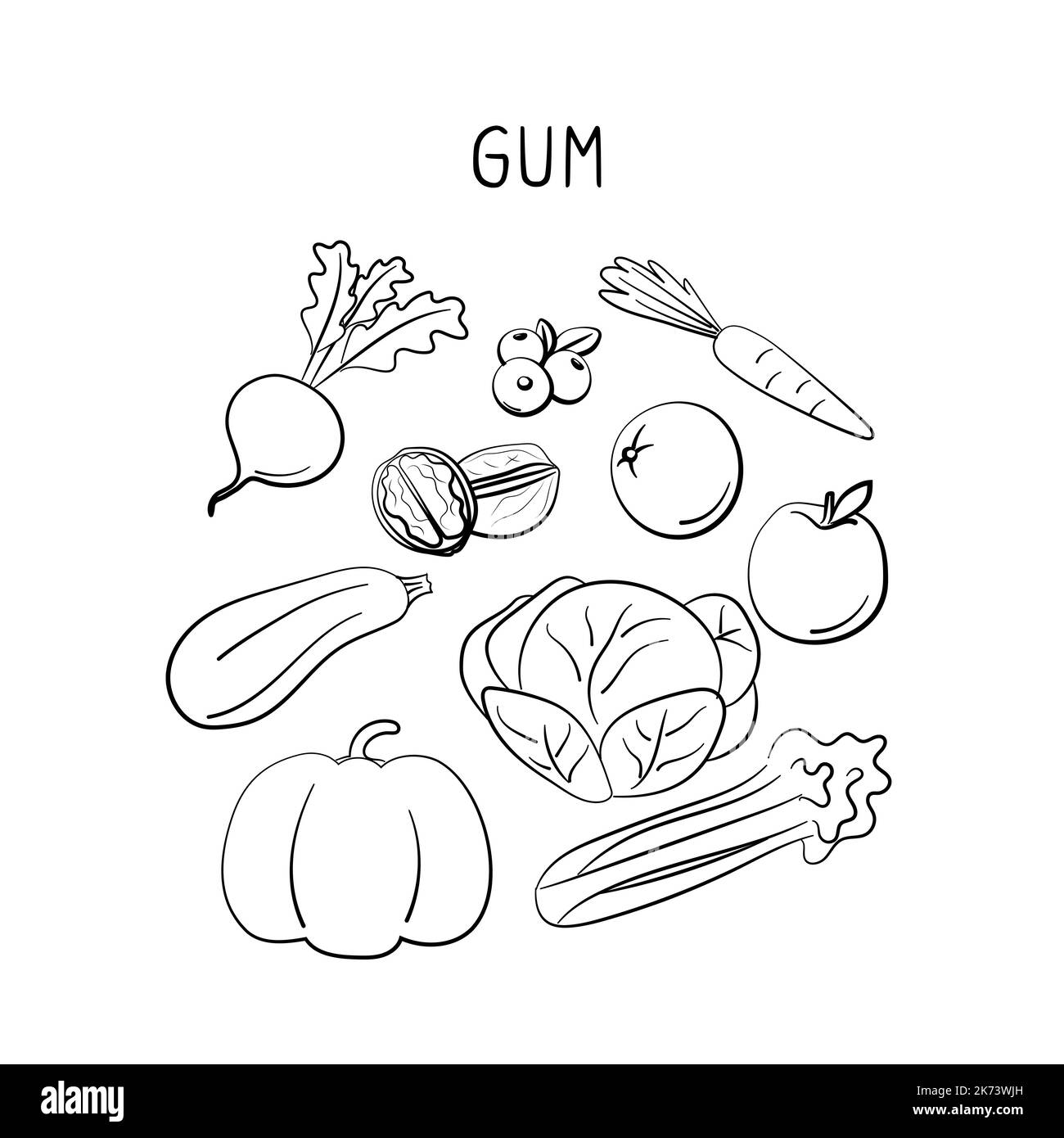 Gum-containing food. Groups of healthy products containing vitamins and ...
