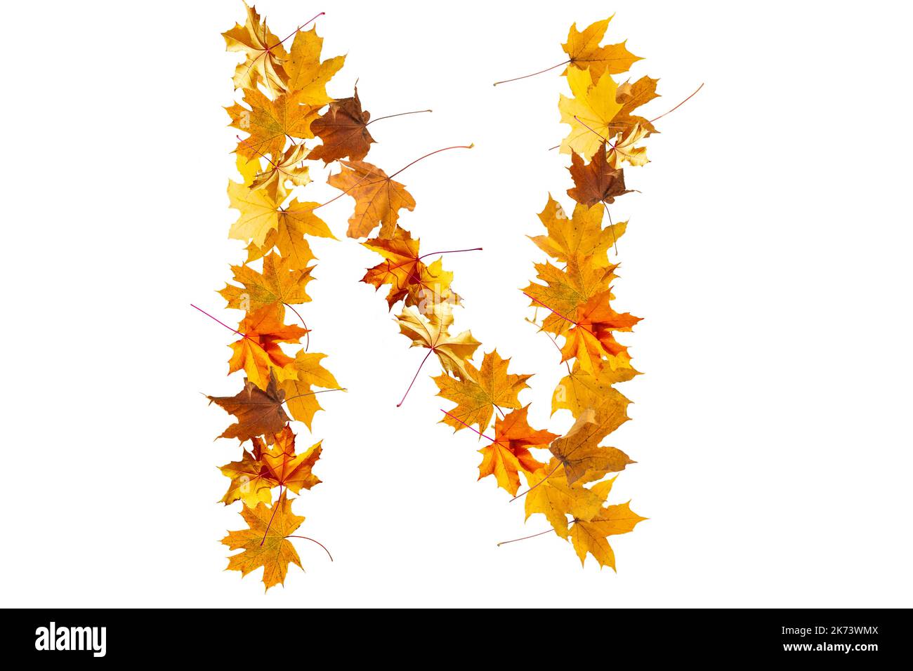 Letter made out of autumnal forest Leaves Stock Photo - Alamy