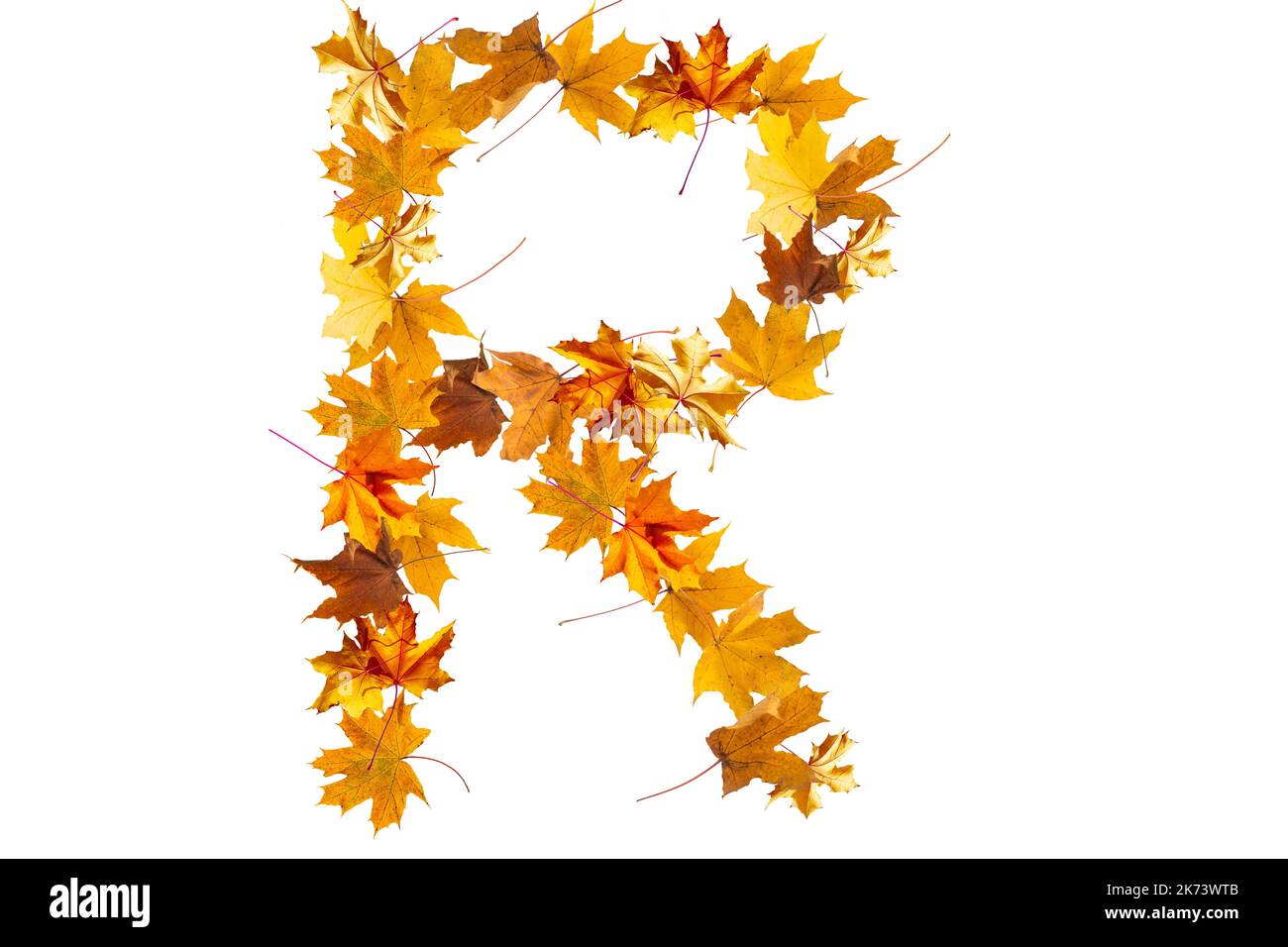 Letter made out leaves hi-res stock photography and images - Alamy