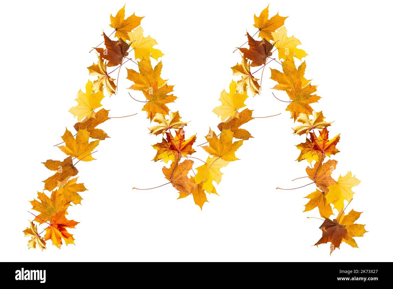 Alphabet letters made with yellow autumn leaves to form the capitals on ...