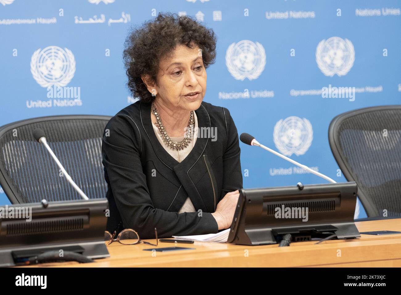 Irene Khan, Special Rapporteur for freedom of expression and opinion ...