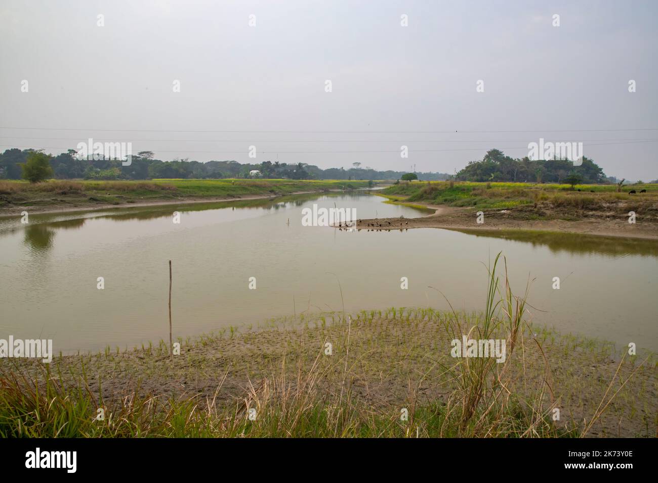 Beautiful landscape view of Padma river in Bangladesh Stock Photo - Alamy