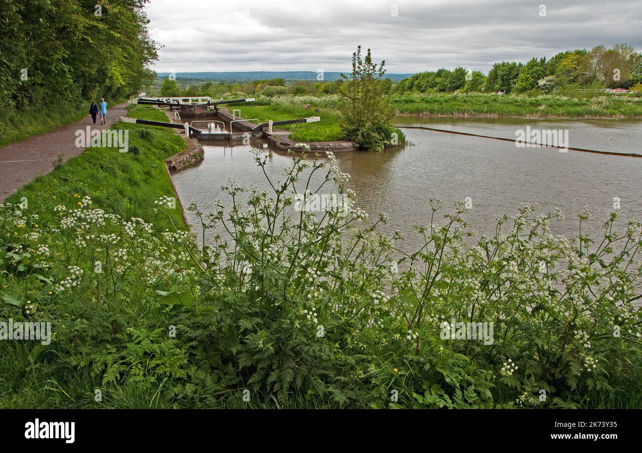 WARWICKSHIRE; NAPTON; THE NAPTON FLIGHT LOCKS Stock Photo - Alamy