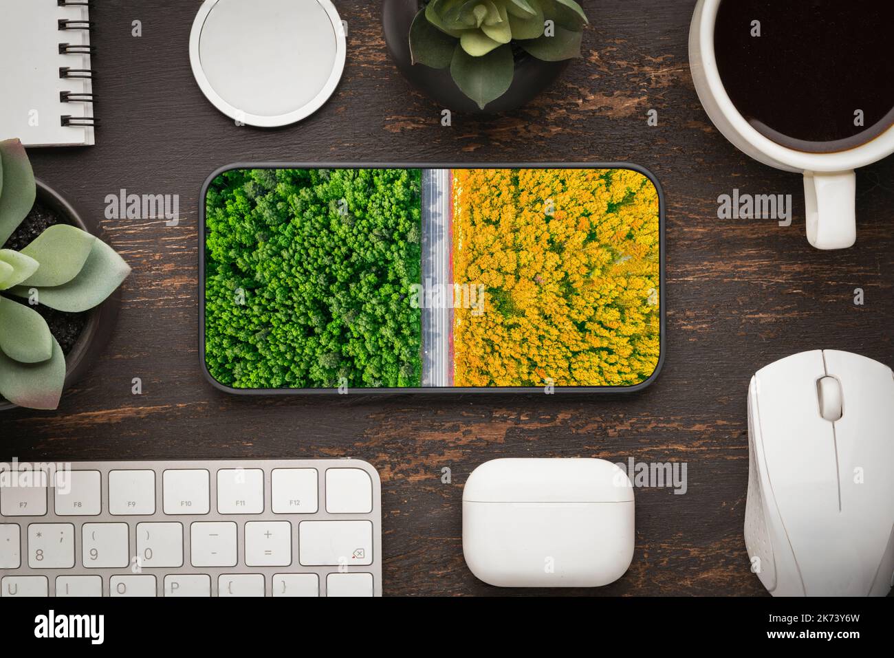 transition from summer to autumn on the mobile phone screen. photos of ...