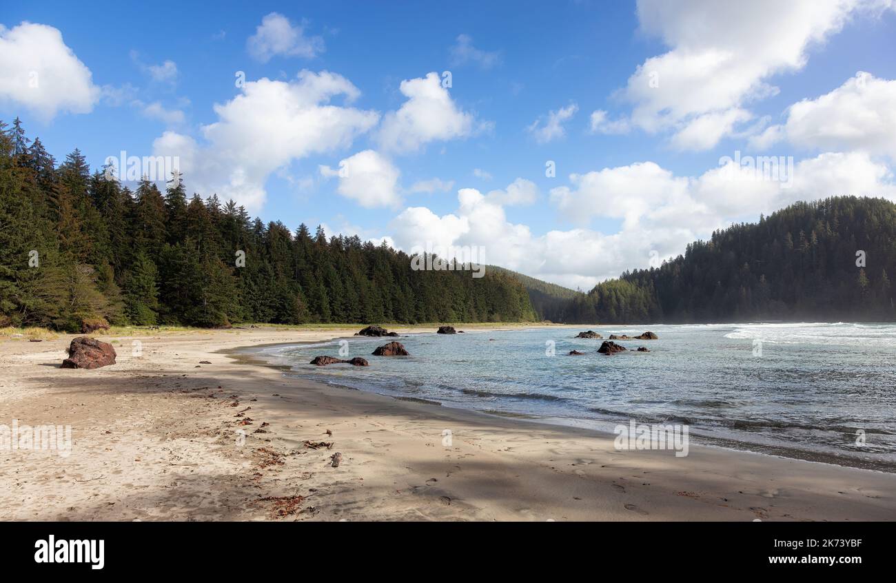 Sandy beach on Pacific Ocean Coast View. Sunny Blue Sky. San Josef Bay ...