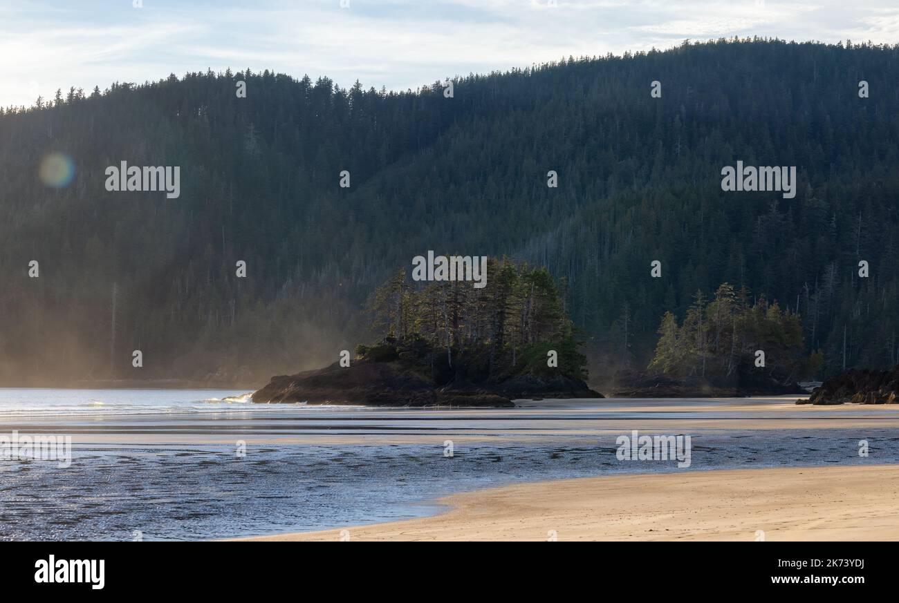 Sandy beach on Pacific Ocean Coast View. Sunny Blue Sky. San Josef Bay ...