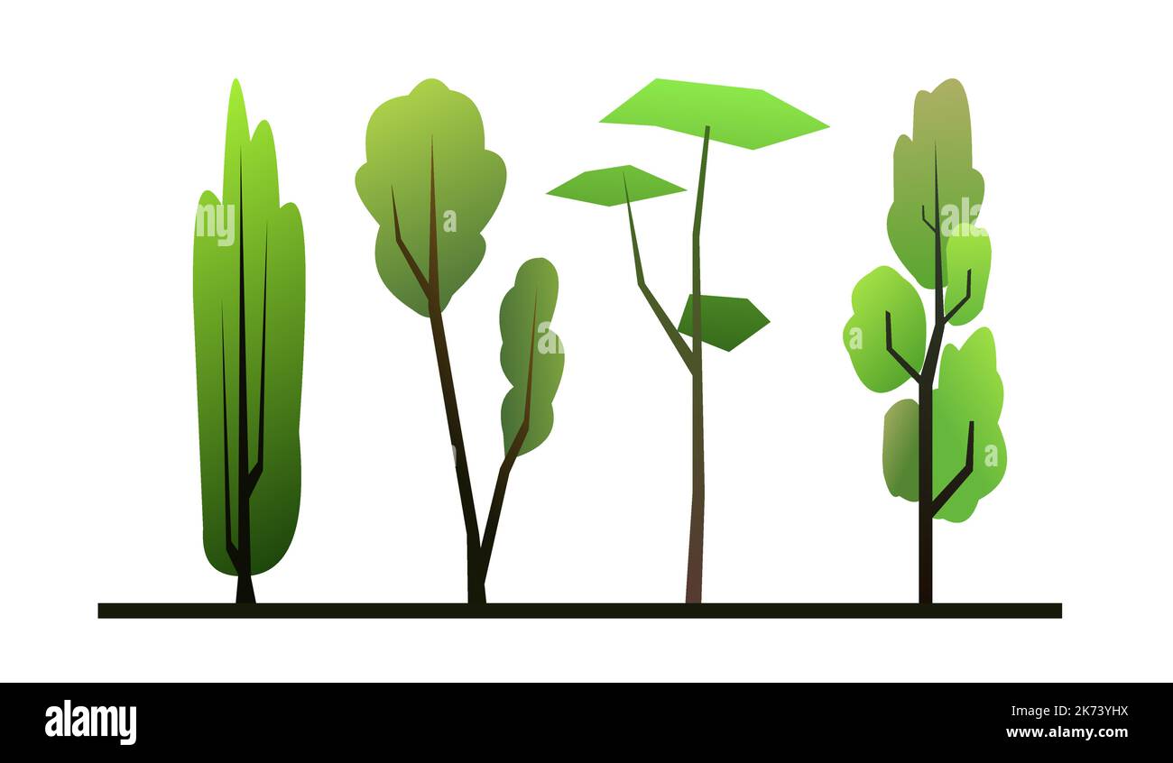 Seedlings of young trees with roots. Garden plants. Fruit plantings ...