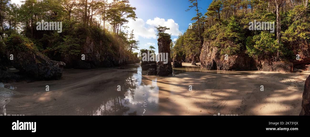 Sandy beach on Pacific Ocean Coast View. Sunny Blue Sky. San Josef Bay ...