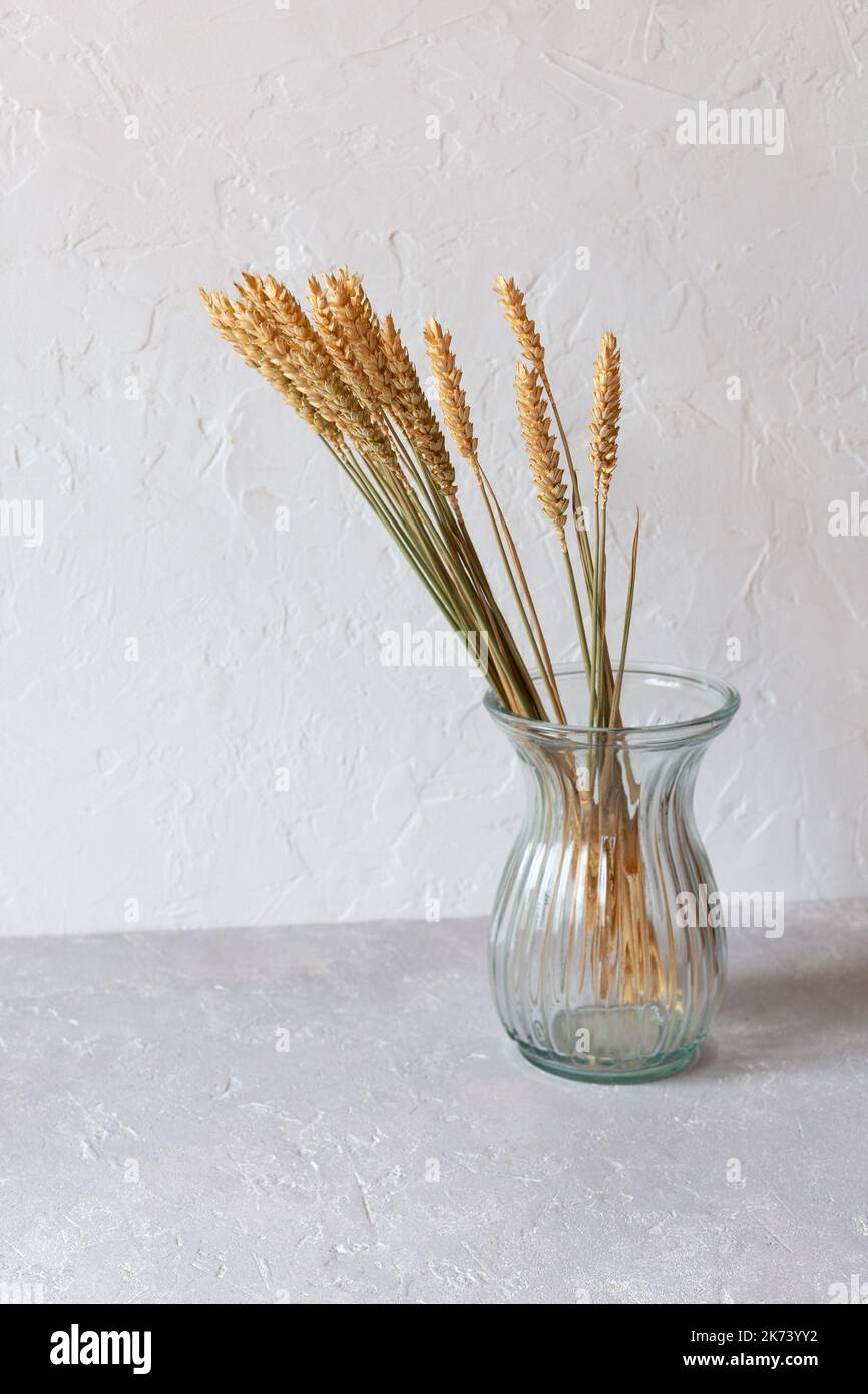 dry decorative wheat plants in a glass vase, side view, vertical photo ...
