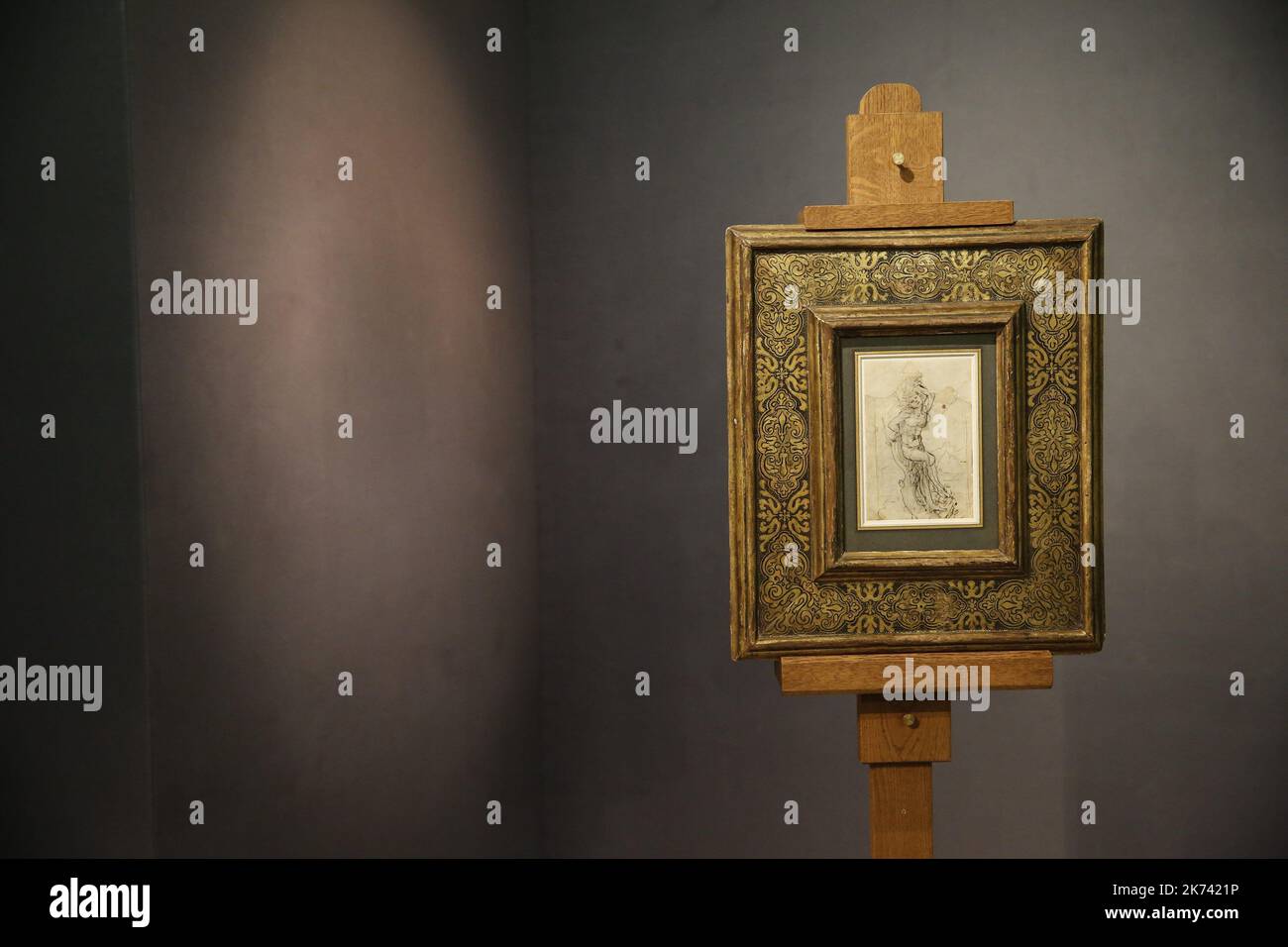 2017.01.10. Leonardo da Vinci drawing valued at £12.6million is ...