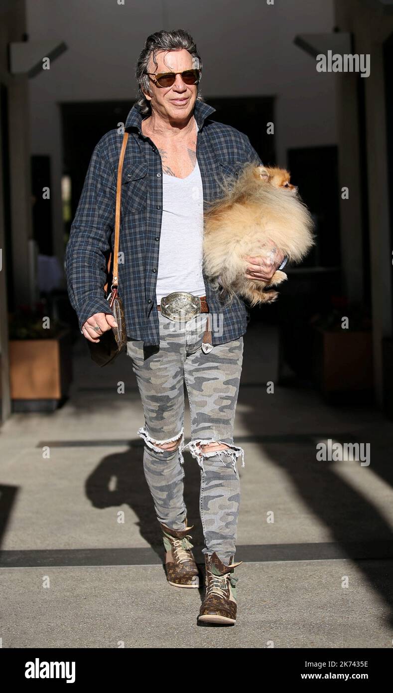Mickey rourke dog hi-res stock photography and images - Alamy