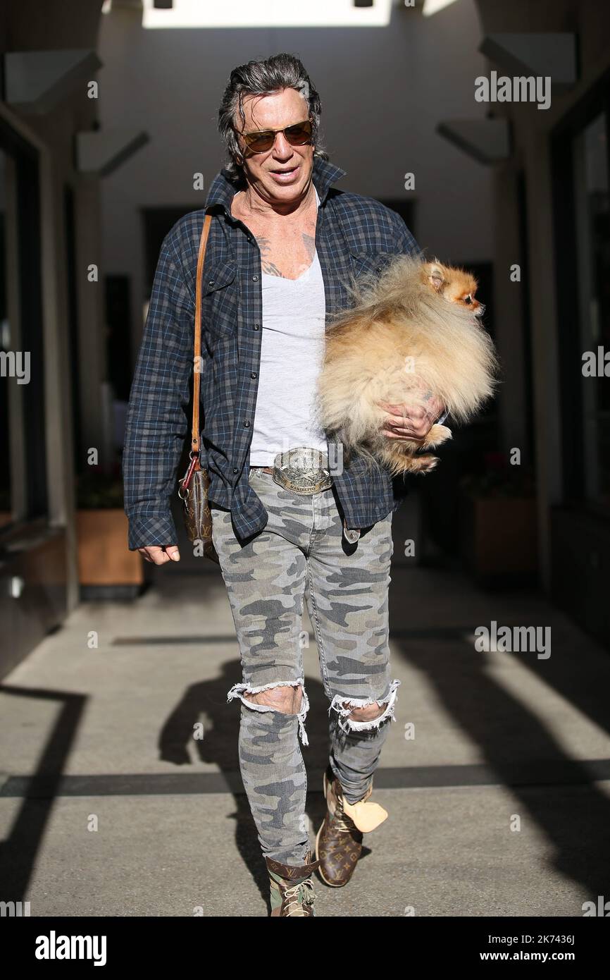 Mickey rourke dog hi-res stock photography and images - Alamy