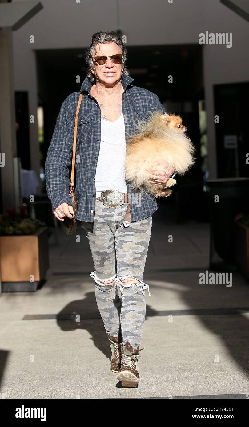 Mickey rourke dog hi-res stock photography and images - Alamy