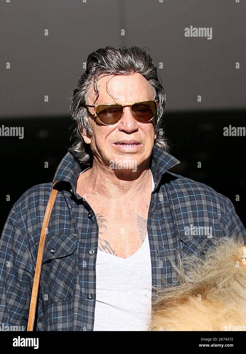 Mickey rourke dog hi-res stock photography and images - Alamy