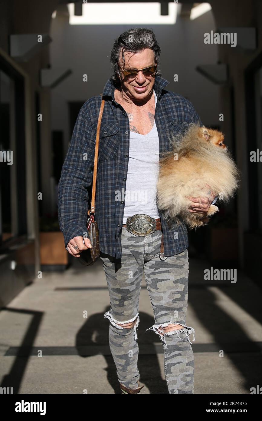 Mickey rourke dog hi-res stock photography and images - Alamy