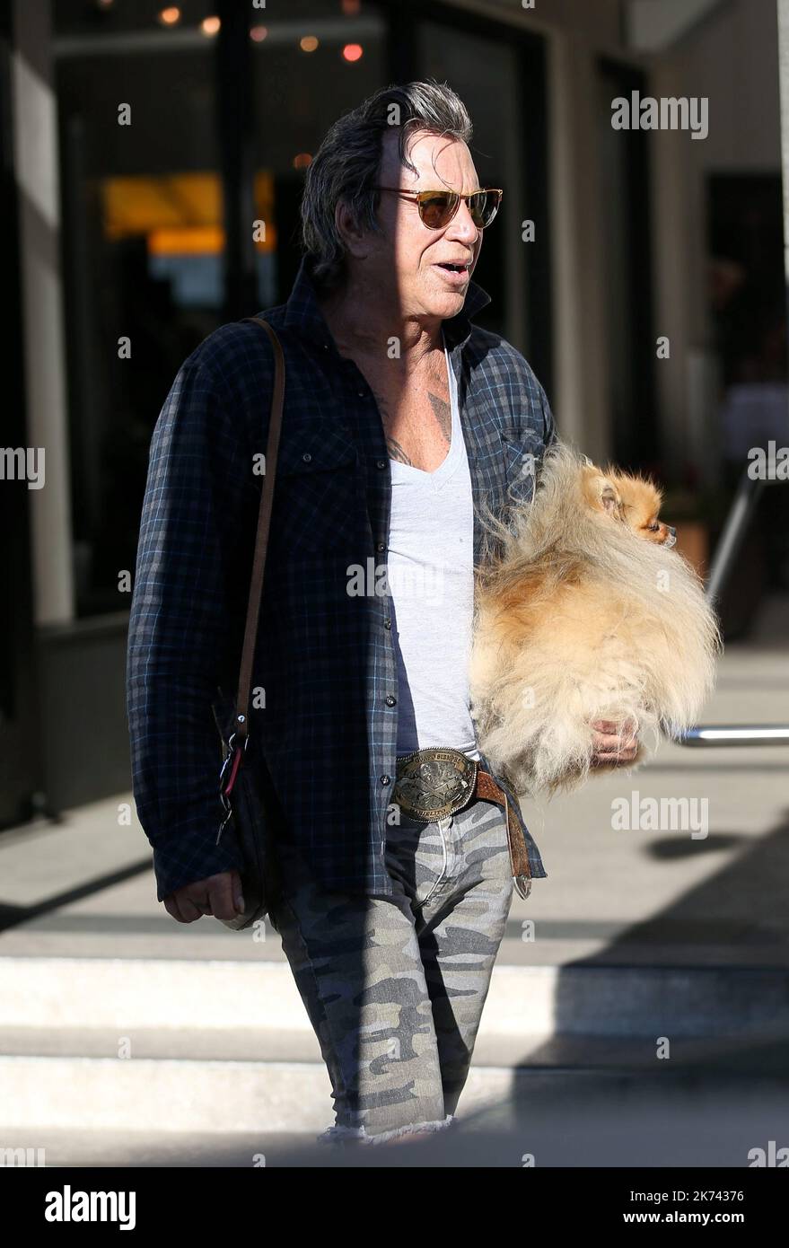 Mickey rourke dog hi-res stock photography and images - Alamy
