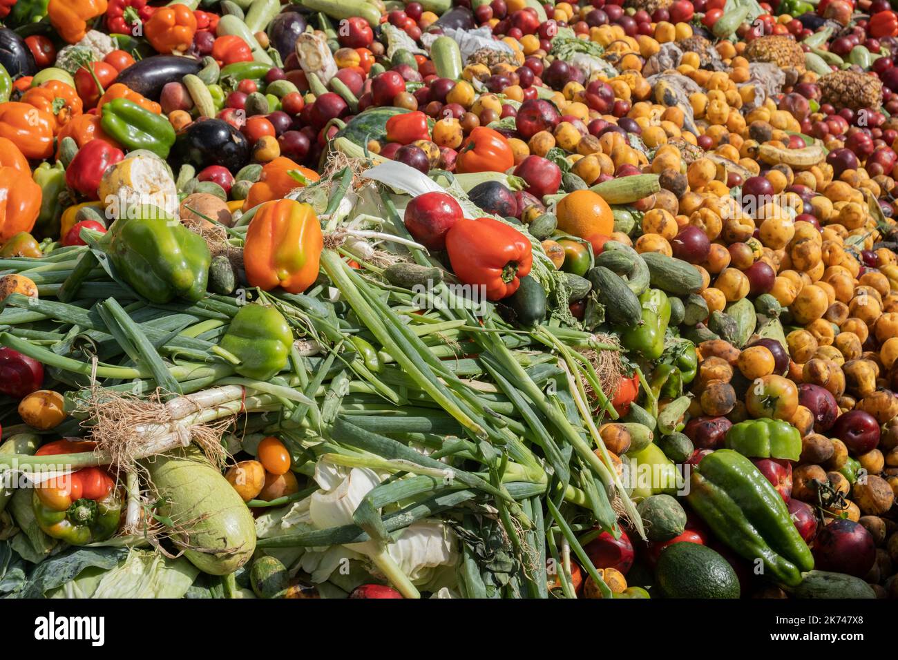 Expired Organic bio waste. Mix Vegetables and fruits in a rubbish bin ...