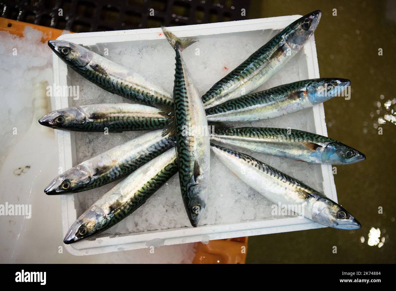 Paris rungis market hi-res stock photography and images - Alamy