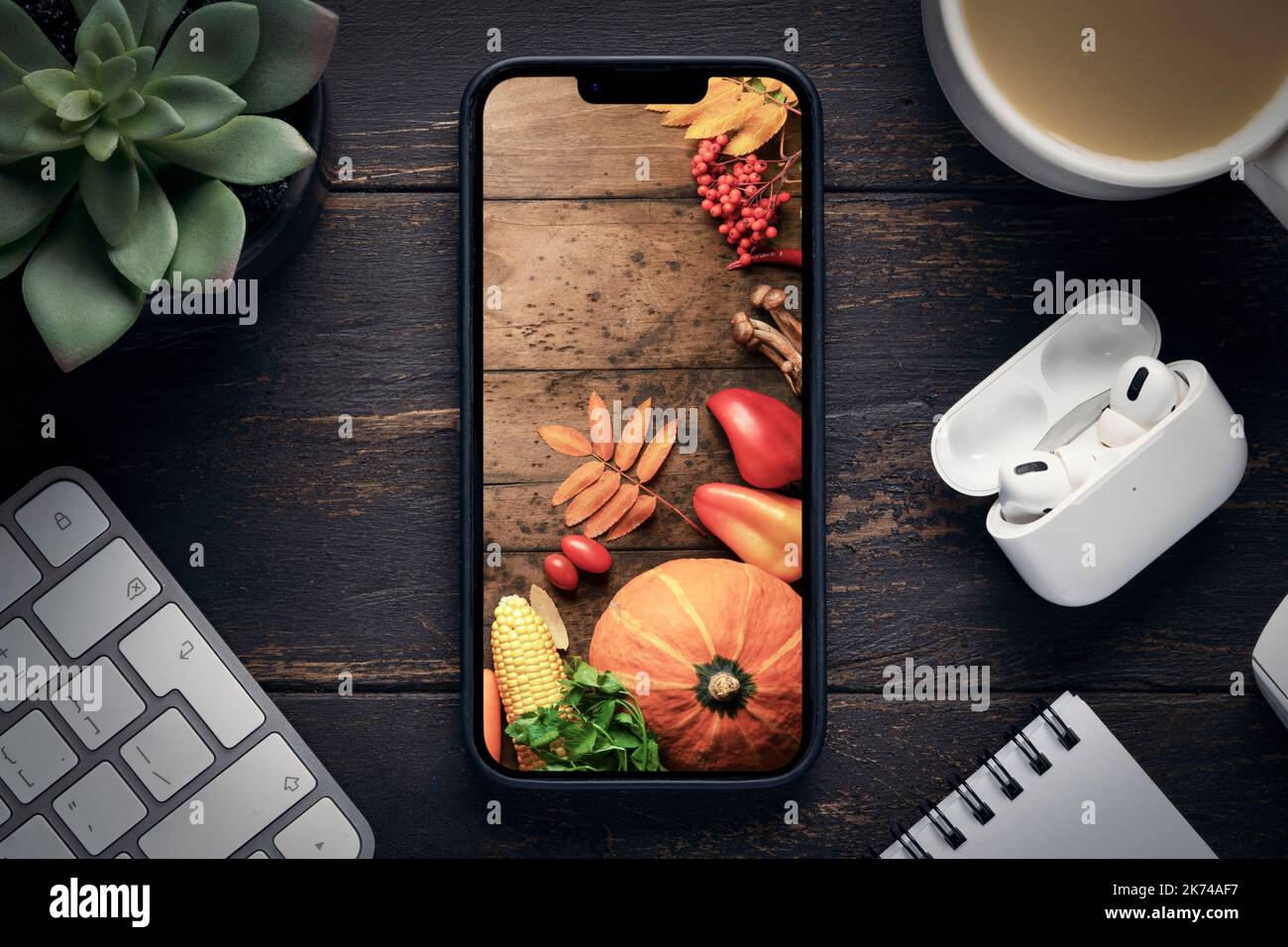 Iphone 14 pro max hi-res stock photography and images - Alamy