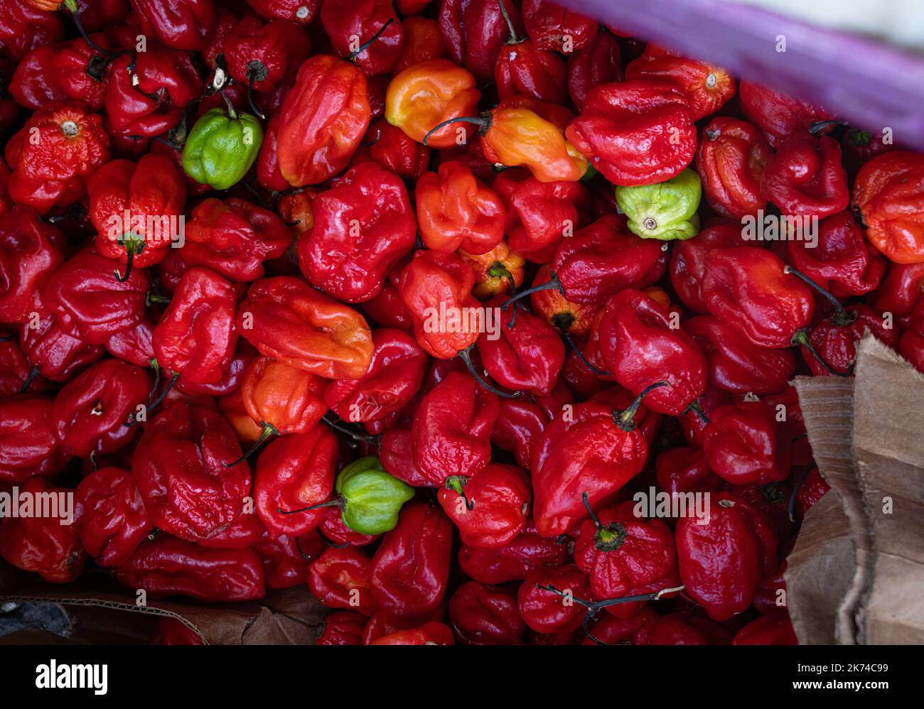 Peppers on sale on market stall in Pointe à Pitre, Guadeloupe, French ...