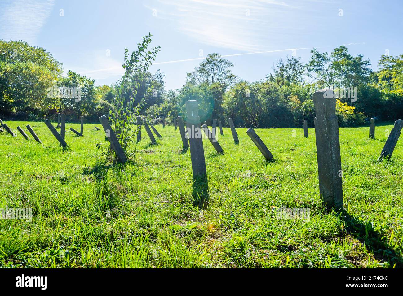 The old military cemetery at Tranžament, Petrovaradin. A panoramic view ...