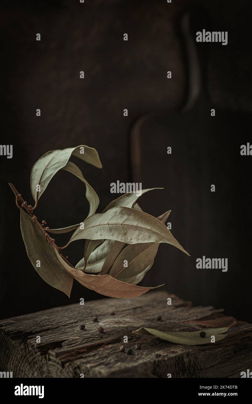 Autumnal composition with bay leaves branch Stock Photo - Alamy