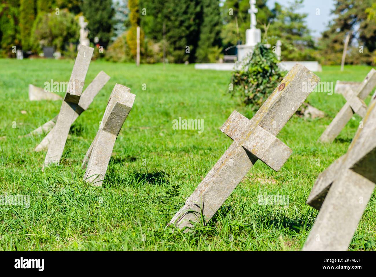 The old military cemetery at Tranžament, Petrovaradin. A panoramic view ...