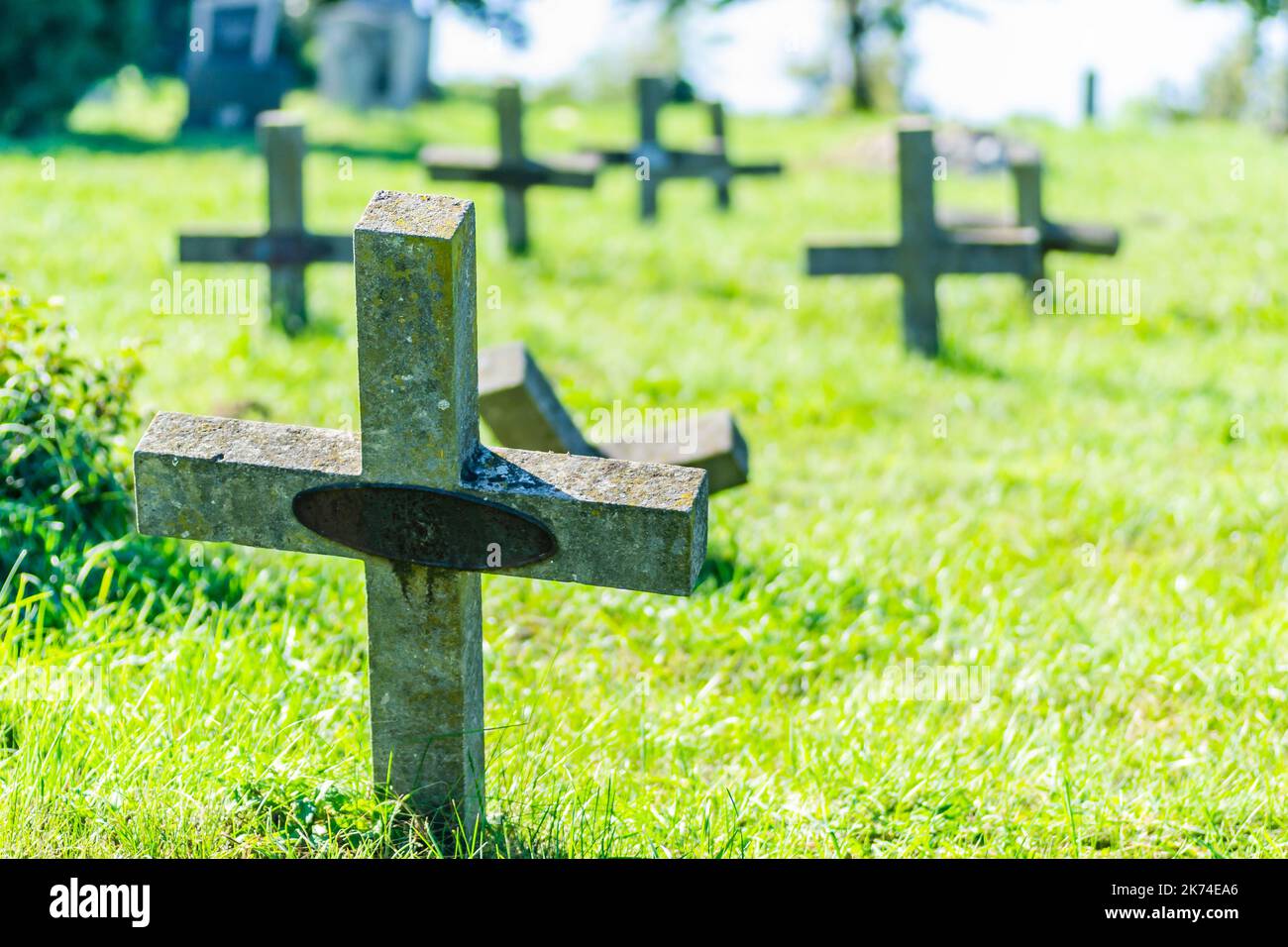 The old military cemetery at Tranžament, Petrovaradin. A panoramic view ...