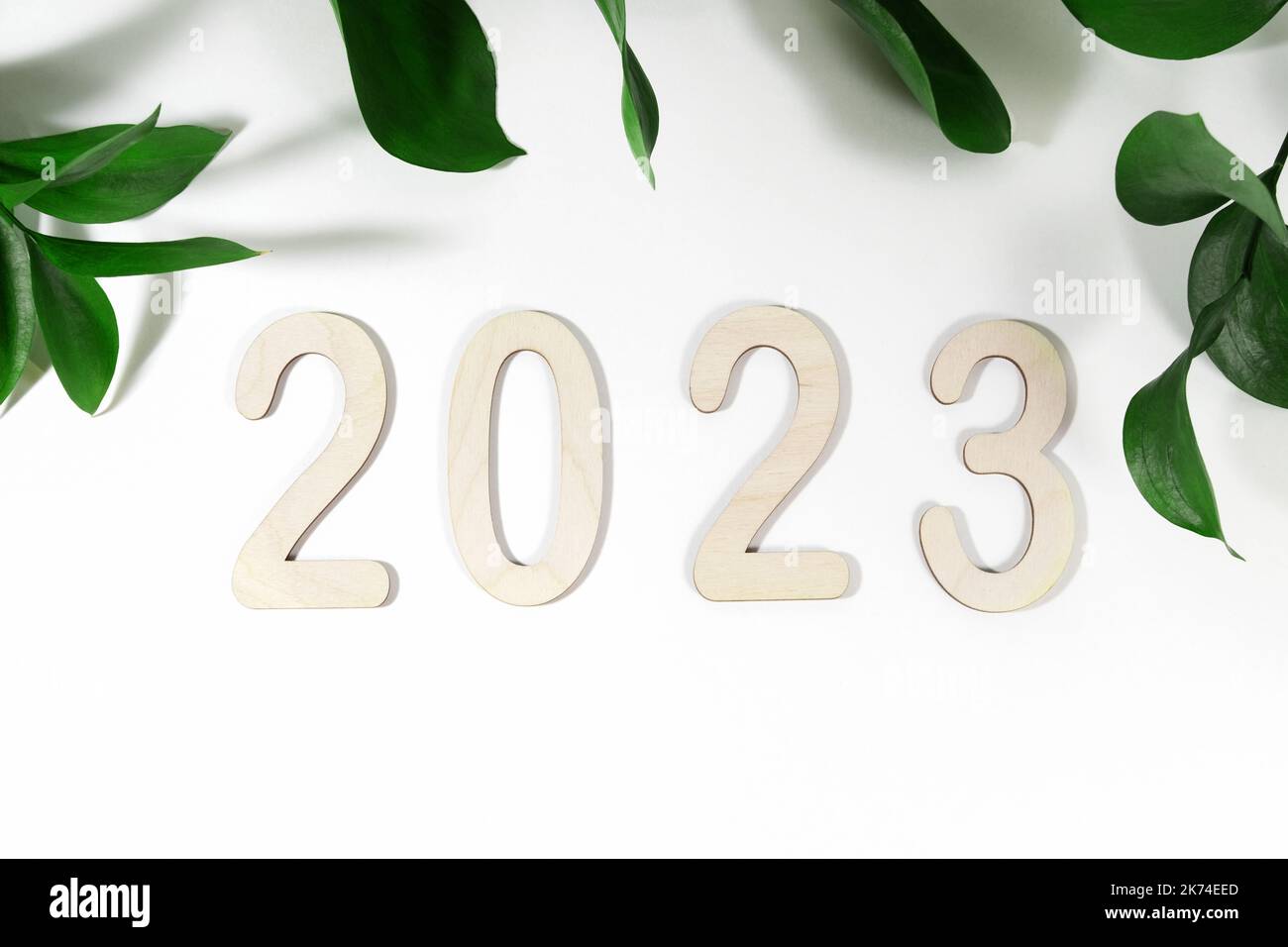 Text 2023 from wooden numbers on a white background with live leaves of ...