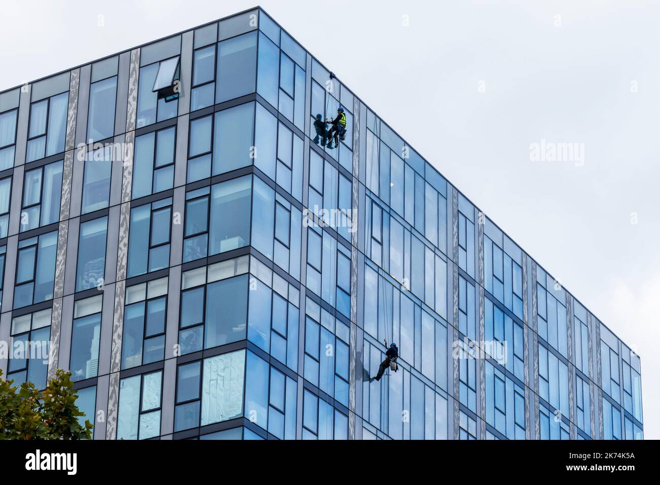 Two men suspended on ropes cleaning the windows of a high-rise ...