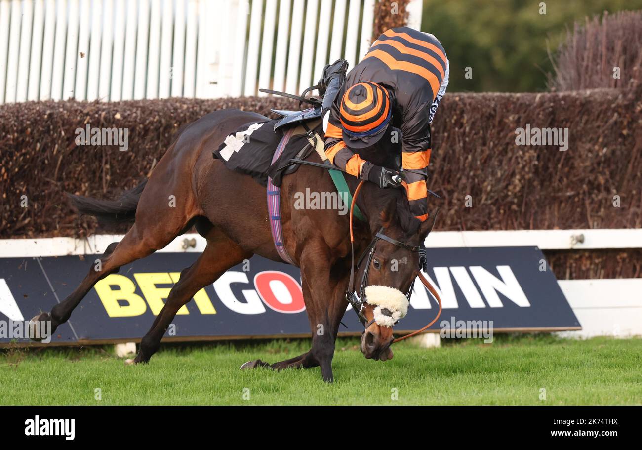 Bob dingle hi-res stock photography and images - Alamy