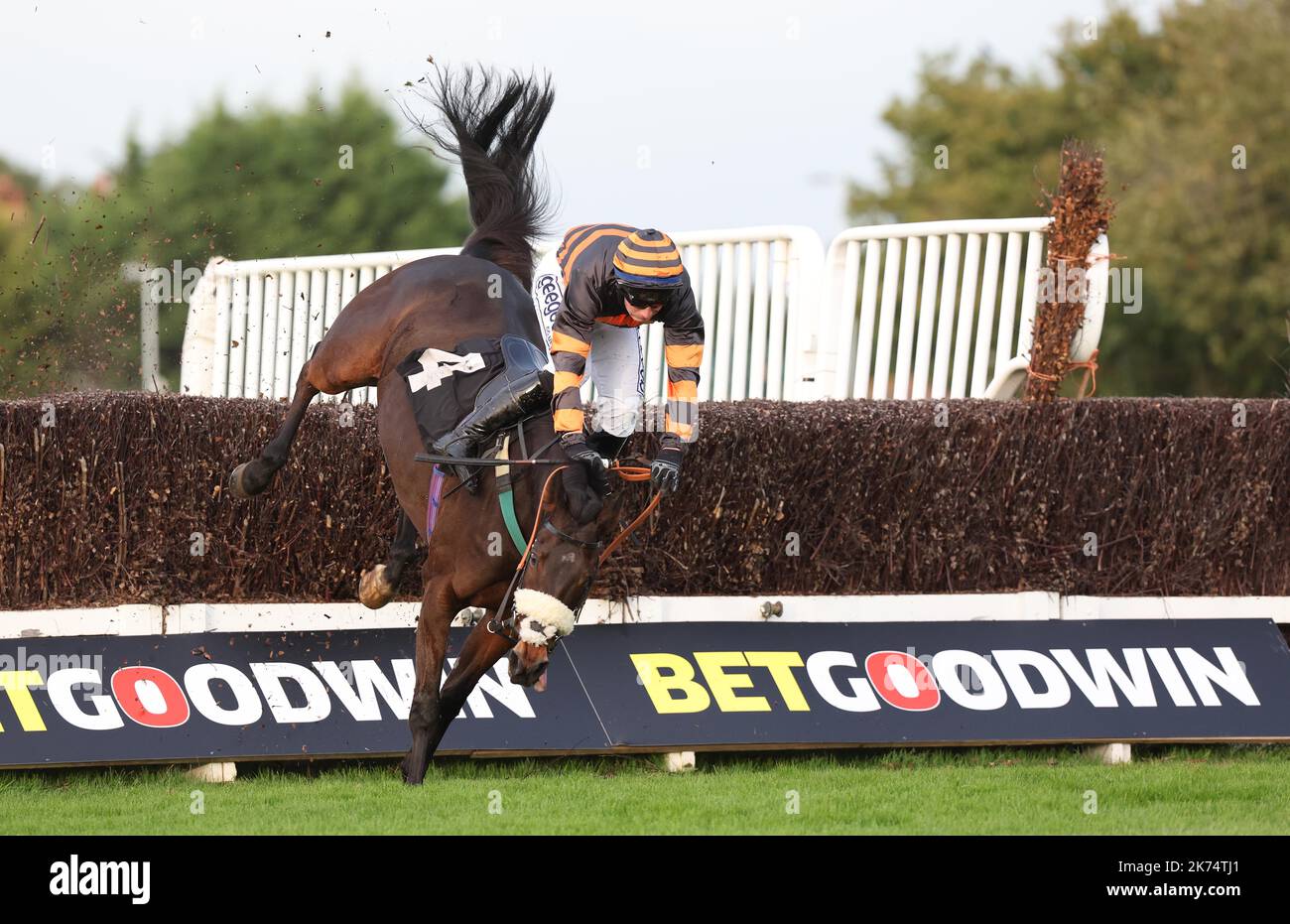 Bob dingle hi-res stock photography and images - Alamy