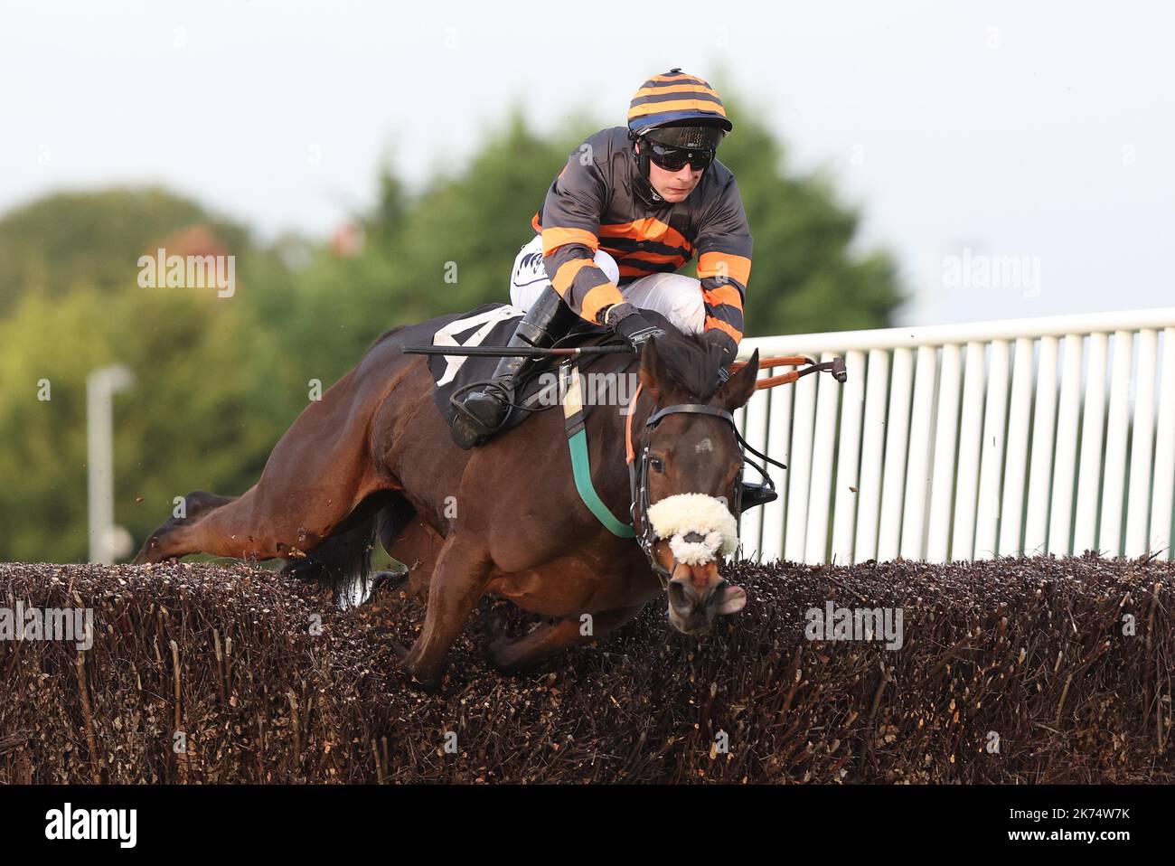 Rex dingle hi-res stock photography and images - Alamy