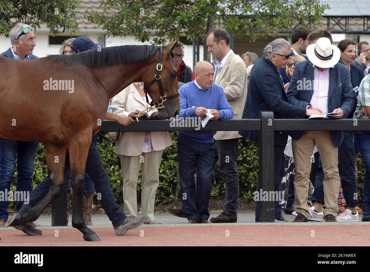 Perelle hi-res stock photography and images - Alamy