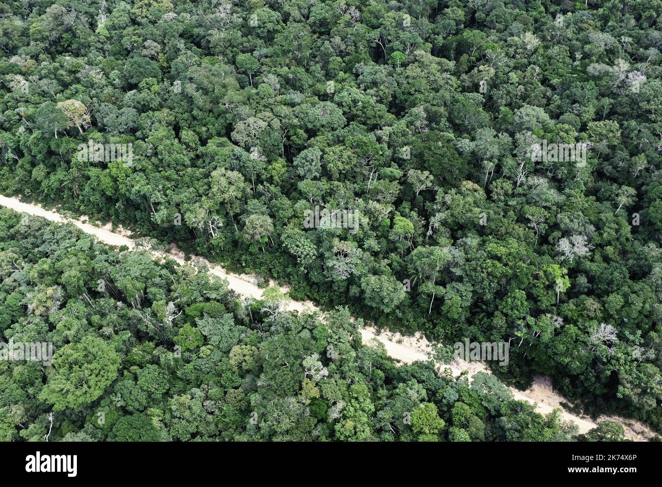 Brazil / Amazonas / Manaus - Manaus, heart of the Amazon Located on the ...
